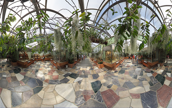 Exotarium - Reptilienhalle mit Insektarium - Panorama Frankfurt - p1329